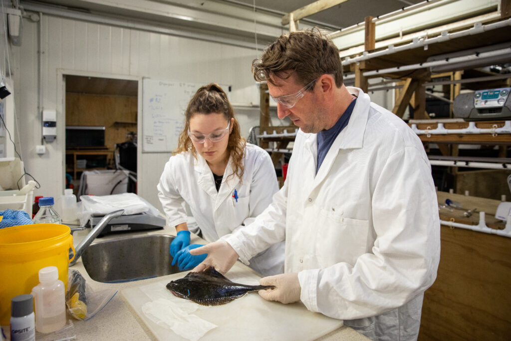 University of Waikato Blue/Green Tech Lab - Priority One