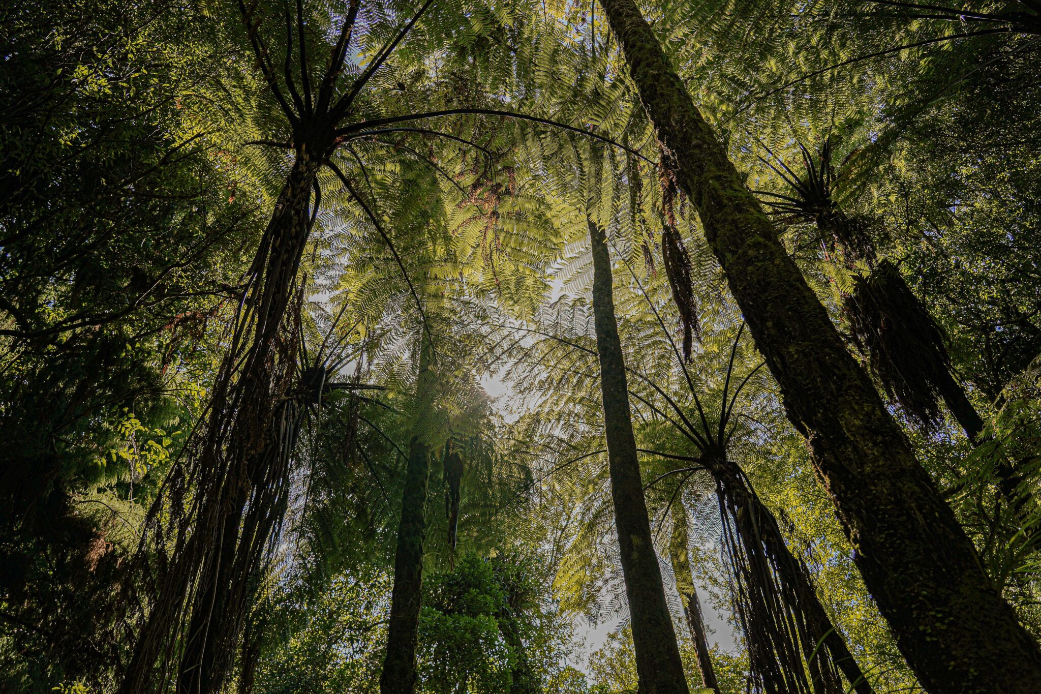 Partnering for Nature: demonstrating the power of collaboration ...