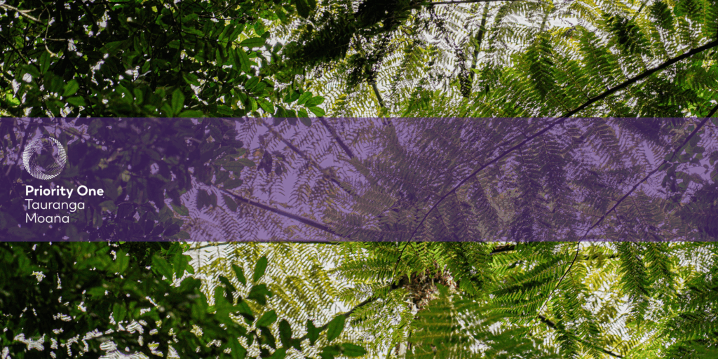 Sustainable Solutions - leading the way - Priority One