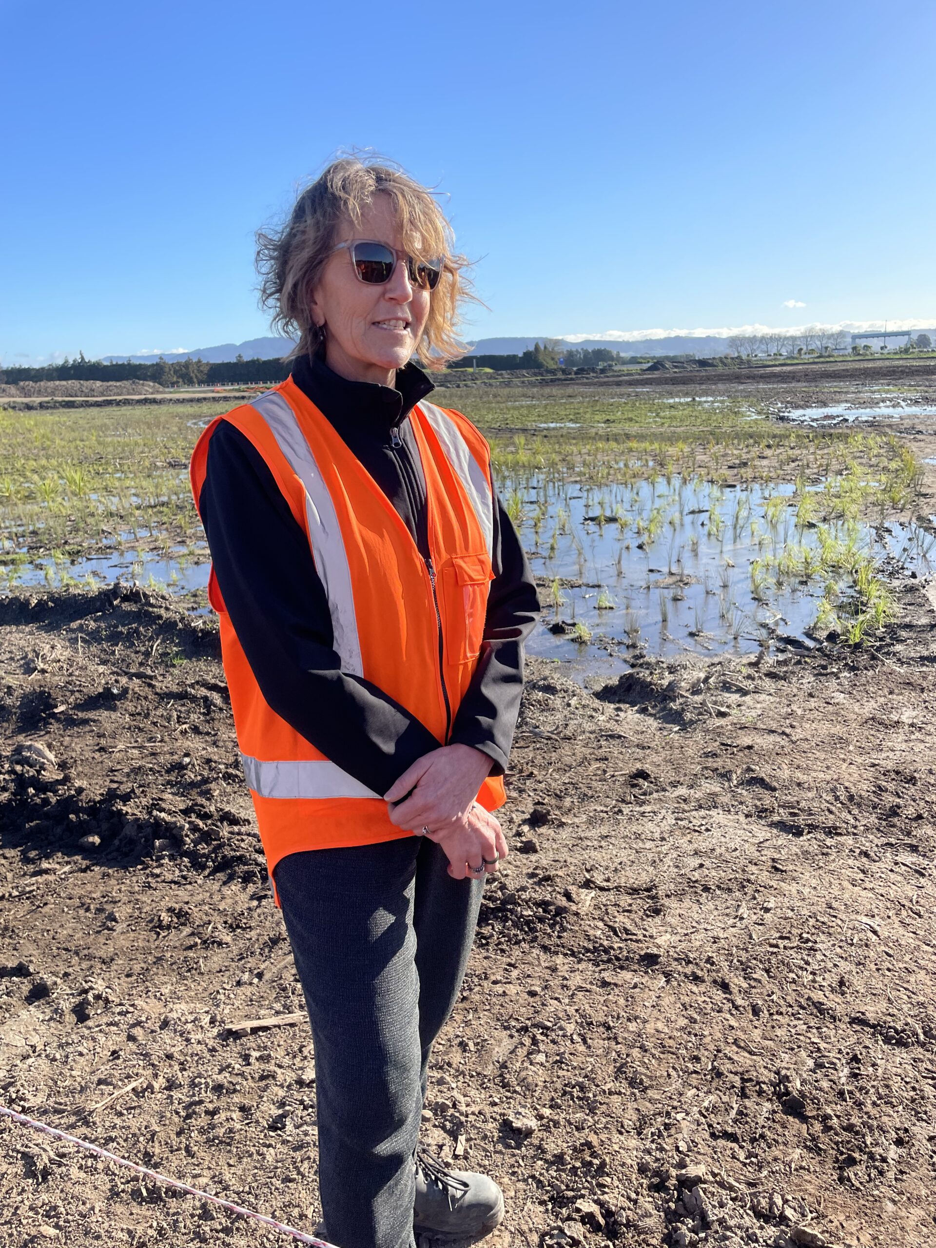 Visit to Rangiuru Business Park: Insights and future prospects ...