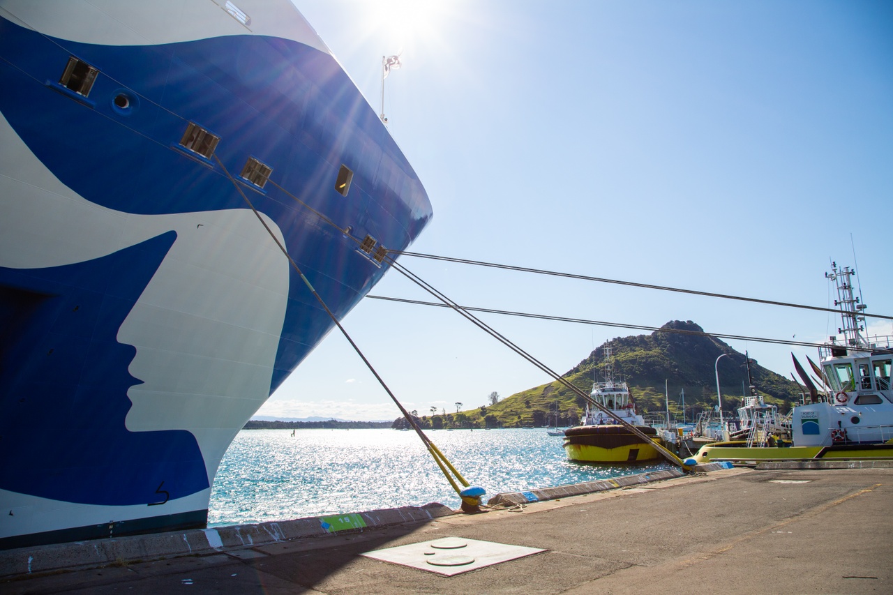 New services being launched for cruise ship passengers - Priority One