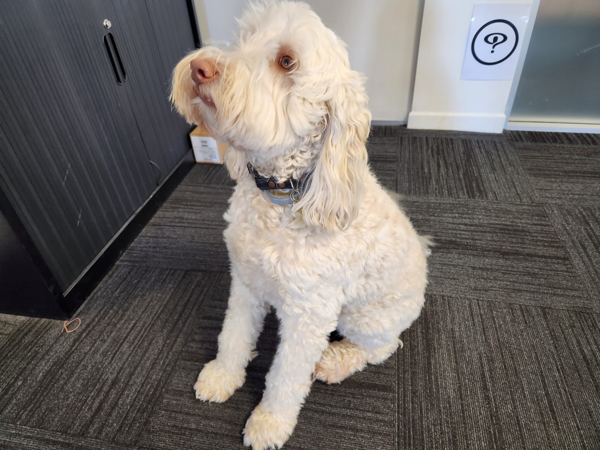 SwipedOn inspires Otumoetai College business students - Priority One